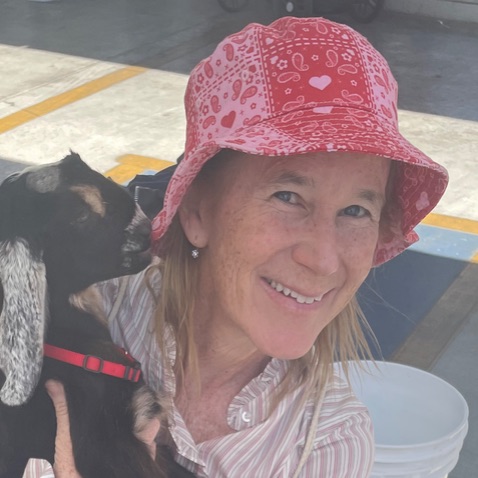 Susan Fichandler, Licensed Clinical Social Worker (LCSW) | MiResource